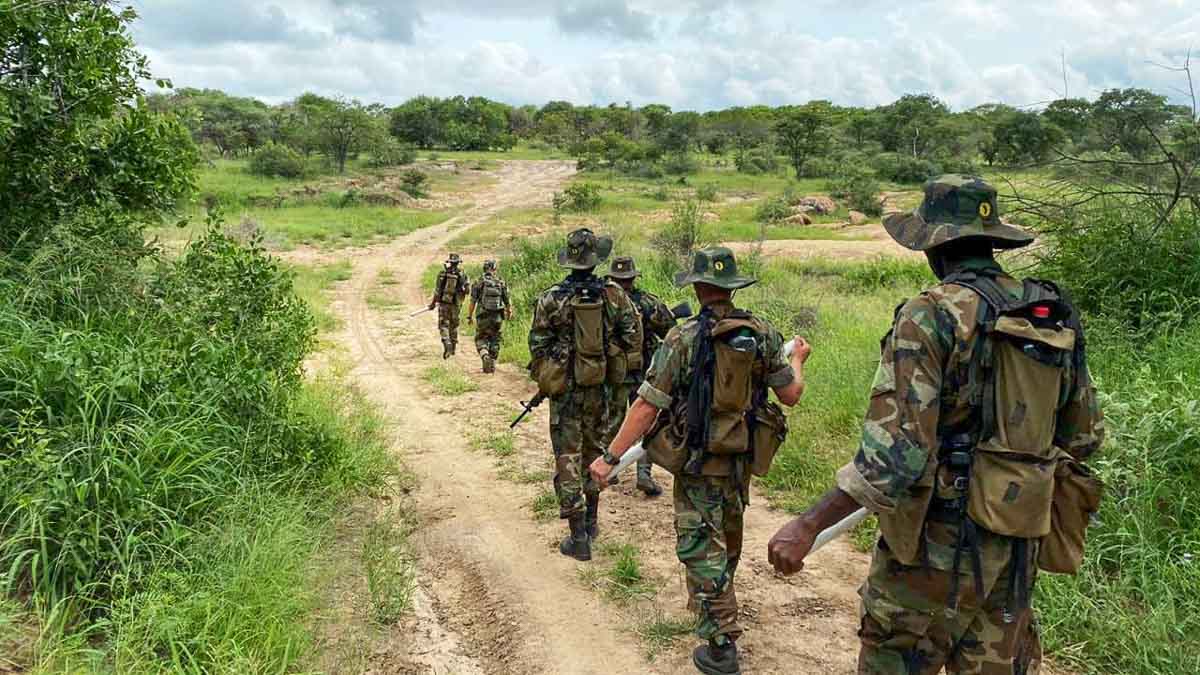 Choosing Conservation Over Luxury Holidays: My Journey as Singapore’s ...