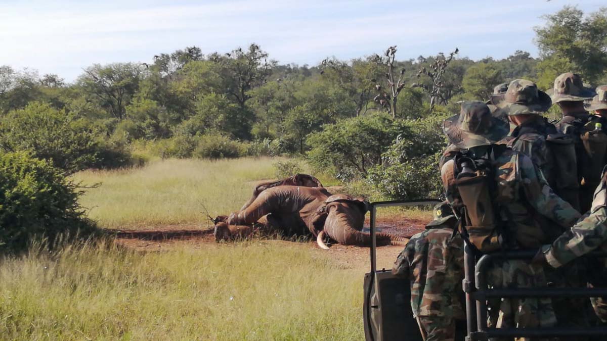 Choosing Conservation Over Luxury Holidays: My Journey as Singapore’s ...