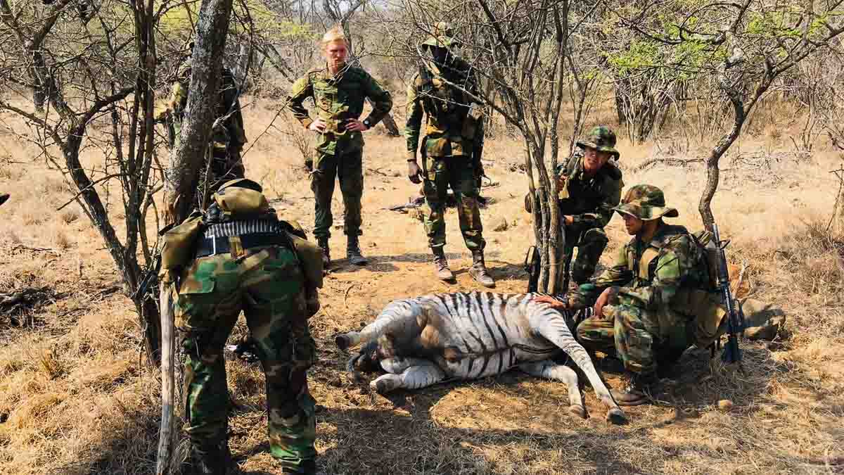 Choosing Conservation Over Luxury Holidays: My Journey as Singapore’s ...