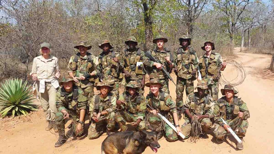 Choosing Conservation Over Luxury Holidays: My Journey as Singapore’s ...