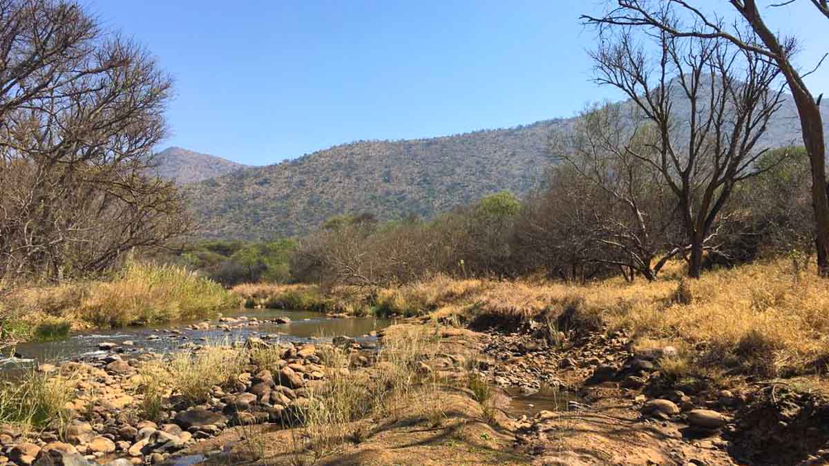 Choosing Conservation Over Luxury Holidays: My Journey as Singapore’s ...