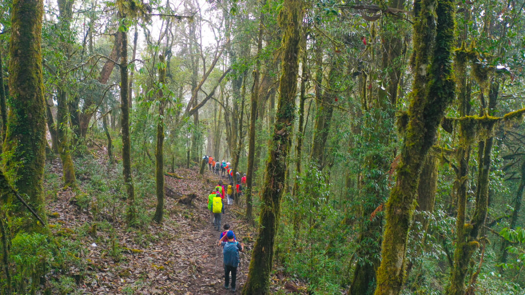 Beginner's Guide to Mardi Himal Trek — Climbing Nepal's Most Accessible ...