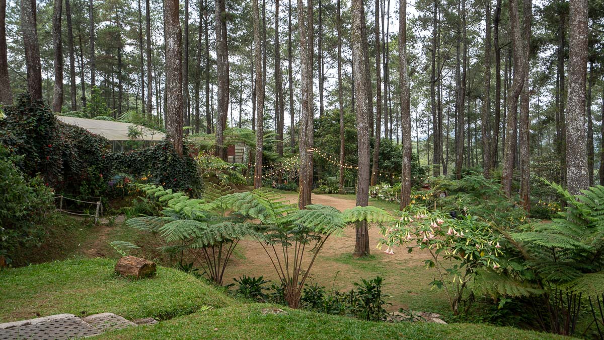11 Interesting Things to Do in Bandung for a Short Getaway — Indonesia ...
