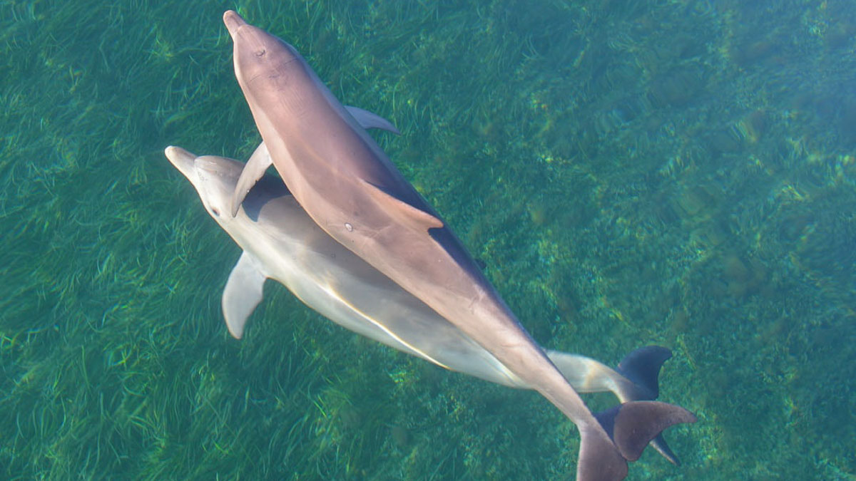 15 Epic Things to Do in South Australia Away from the Crowds — Wildlife ...