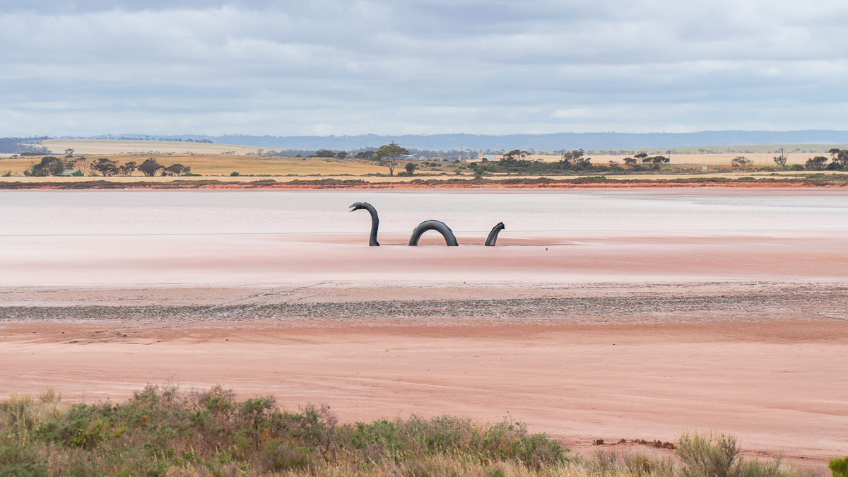 15 Epic Things to Do in South Australia Away from the Crowds — Wildlife ...