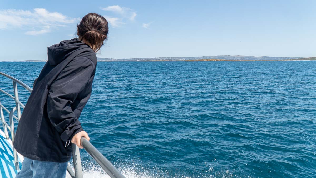 15 Epic Things to Do in South Australia Away from the Crowds — Wildlife ...