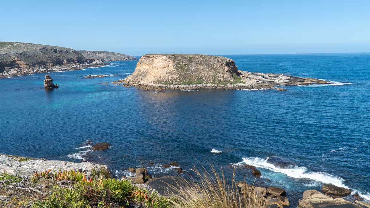 15 Epic Things to Do in South Australia Away from the Crowds — Wildlife ...