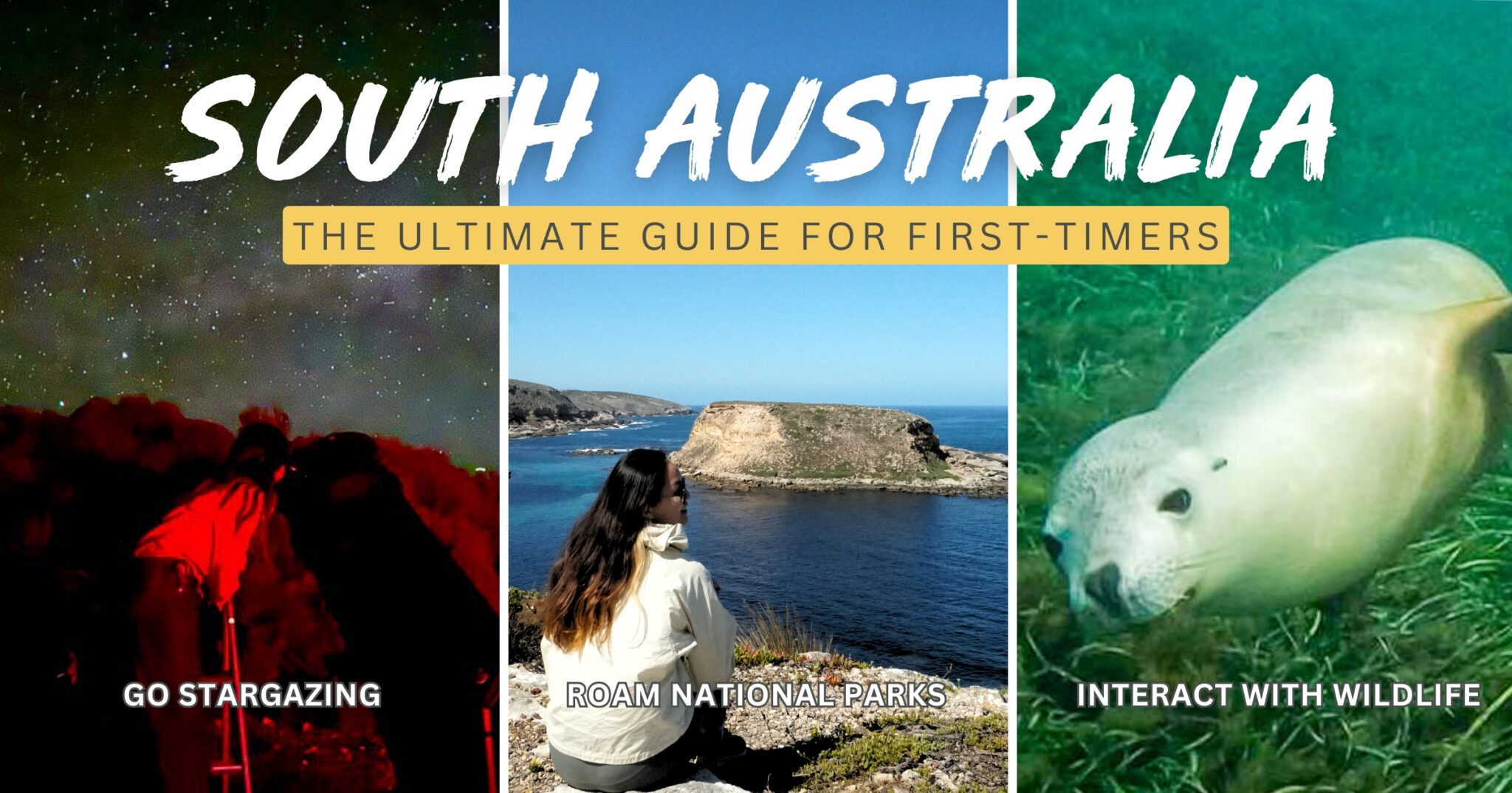 Ultimate South Australia Guide for First-timers: 13 Best Things to Do ...
