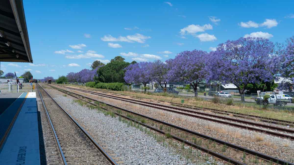 2D1N Hunter Valley Itinerary — Australia's Oldest Wine Region Just 2 ...