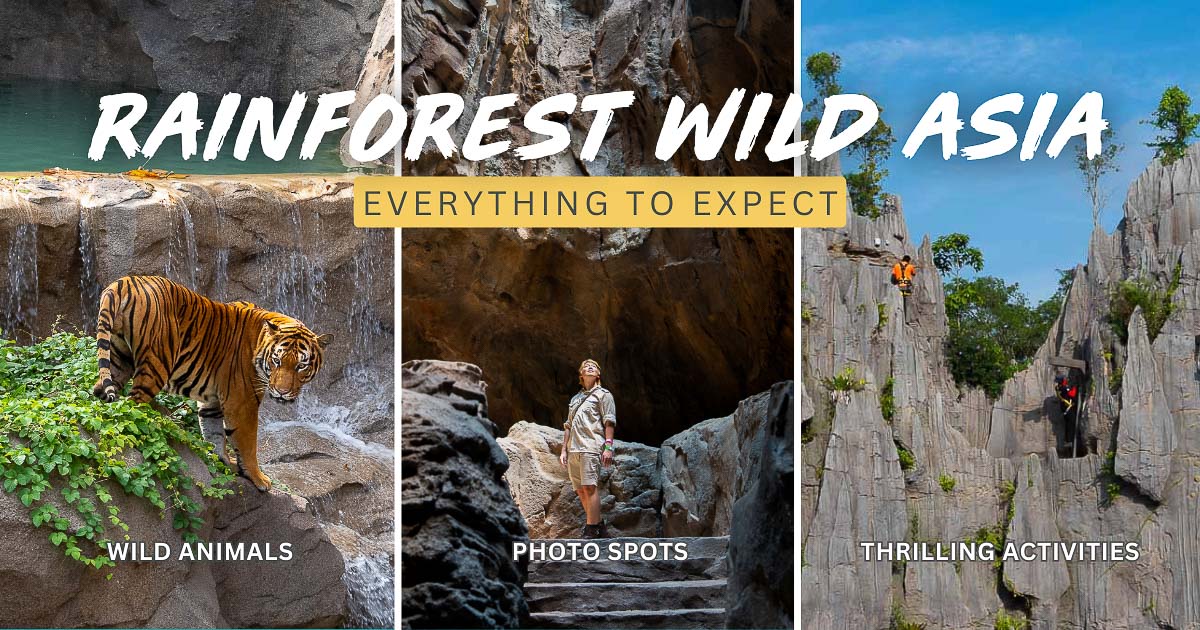 Everything to Expect at Rainforest Wild ASIA — Singapore's Wildest ...