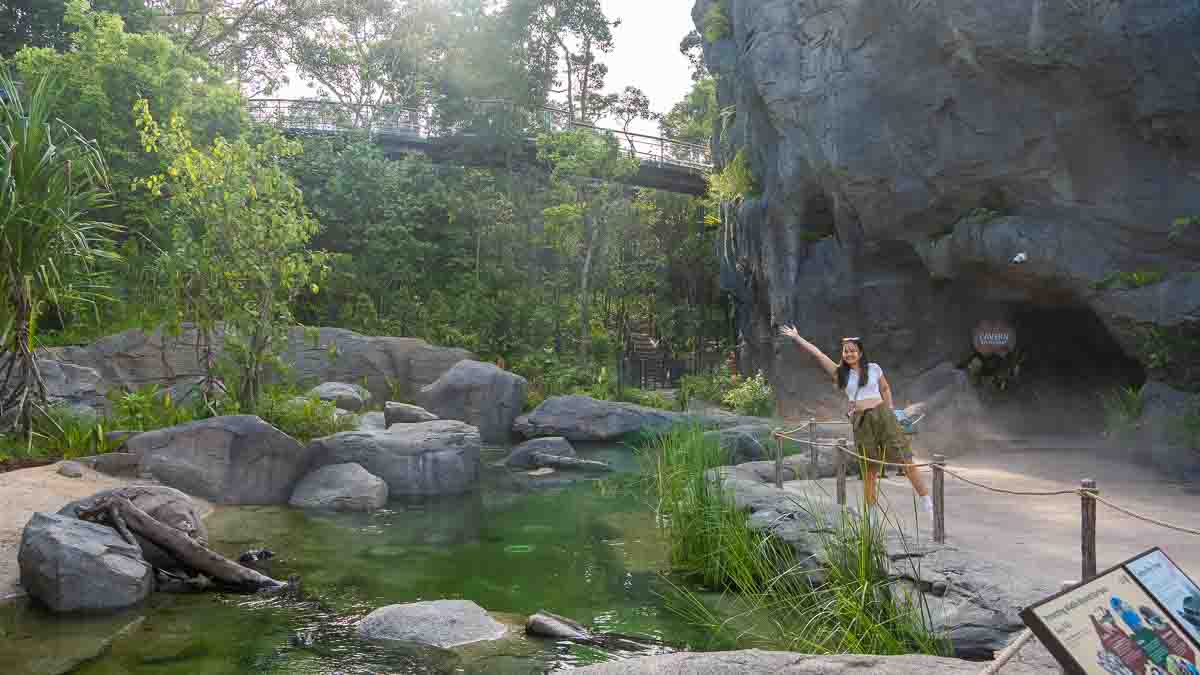 Everything to Expect at Rainforest Wild ASIA — Singapore's Wildest ...