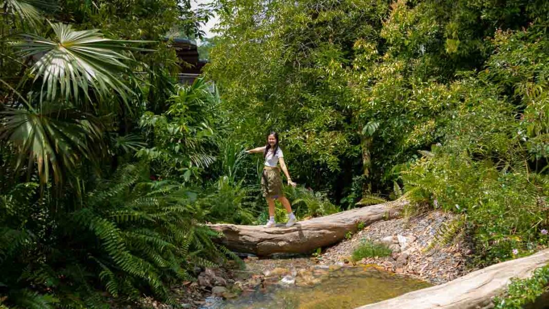 Everything to Expect at Rainforest Wild ASIA — Singapore's Wildest ...