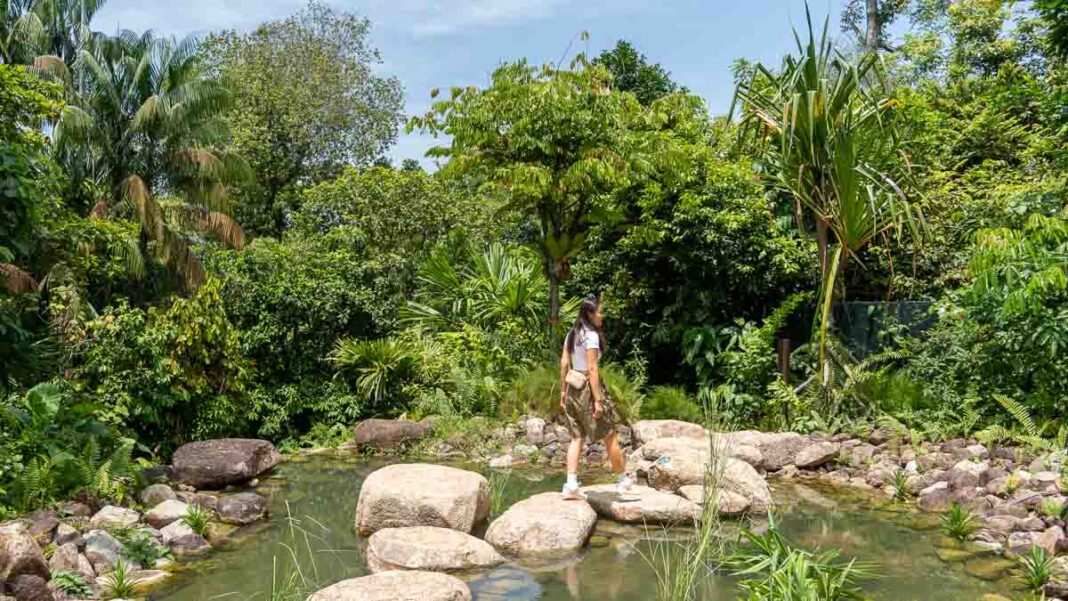 Everything to Expect at Rainforest Wild ASIA — Singapore's Wildest ...