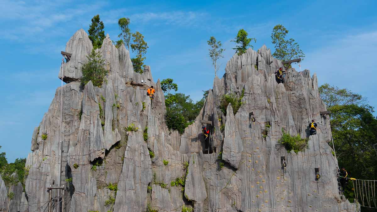 Everything to Expect at Rainforest Wild ASIA — Singapore's Wildest ...