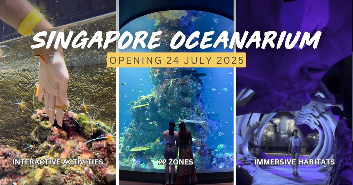 Wave Hello to Singapore Oceanarium from 24 July 2025 — Here's a Sneak ...