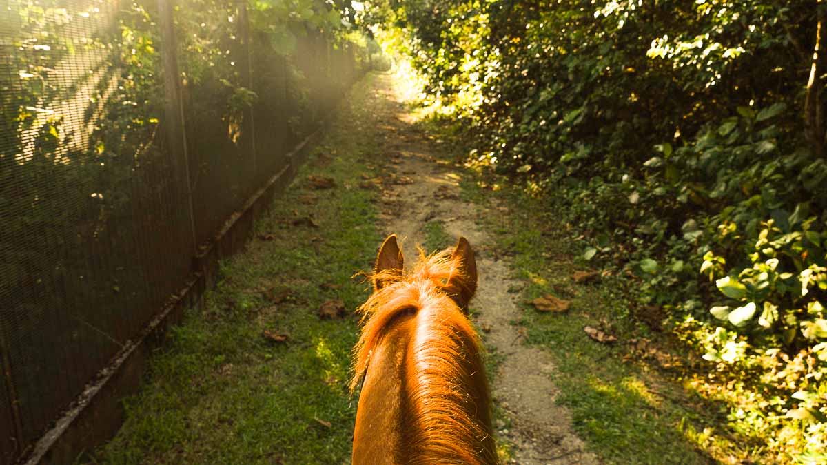 9 Things to Do in Bukit Indah — JB’s Unexpected Hidden Gem with IG ...